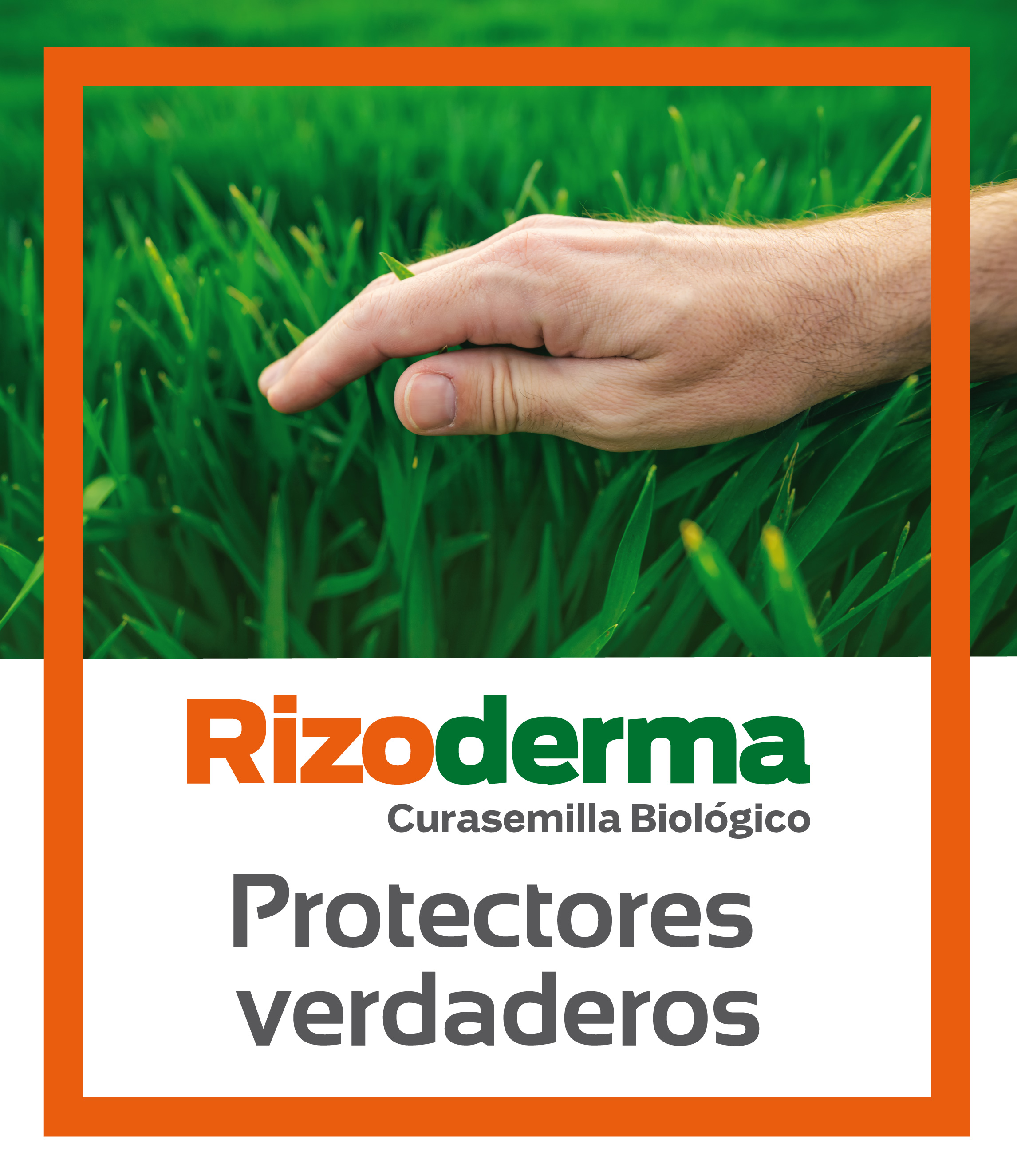 Rizoderma, Curasemilla Biológico - Rizobacter